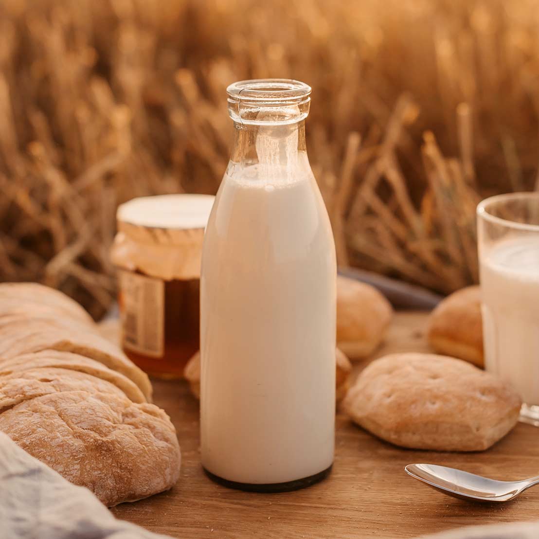 Choco Chip Cookies - 孔夫子教育集團